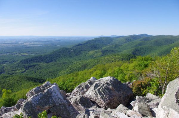 Central Appalachian Forests: Critical Biodiversity Area - Forest ...
