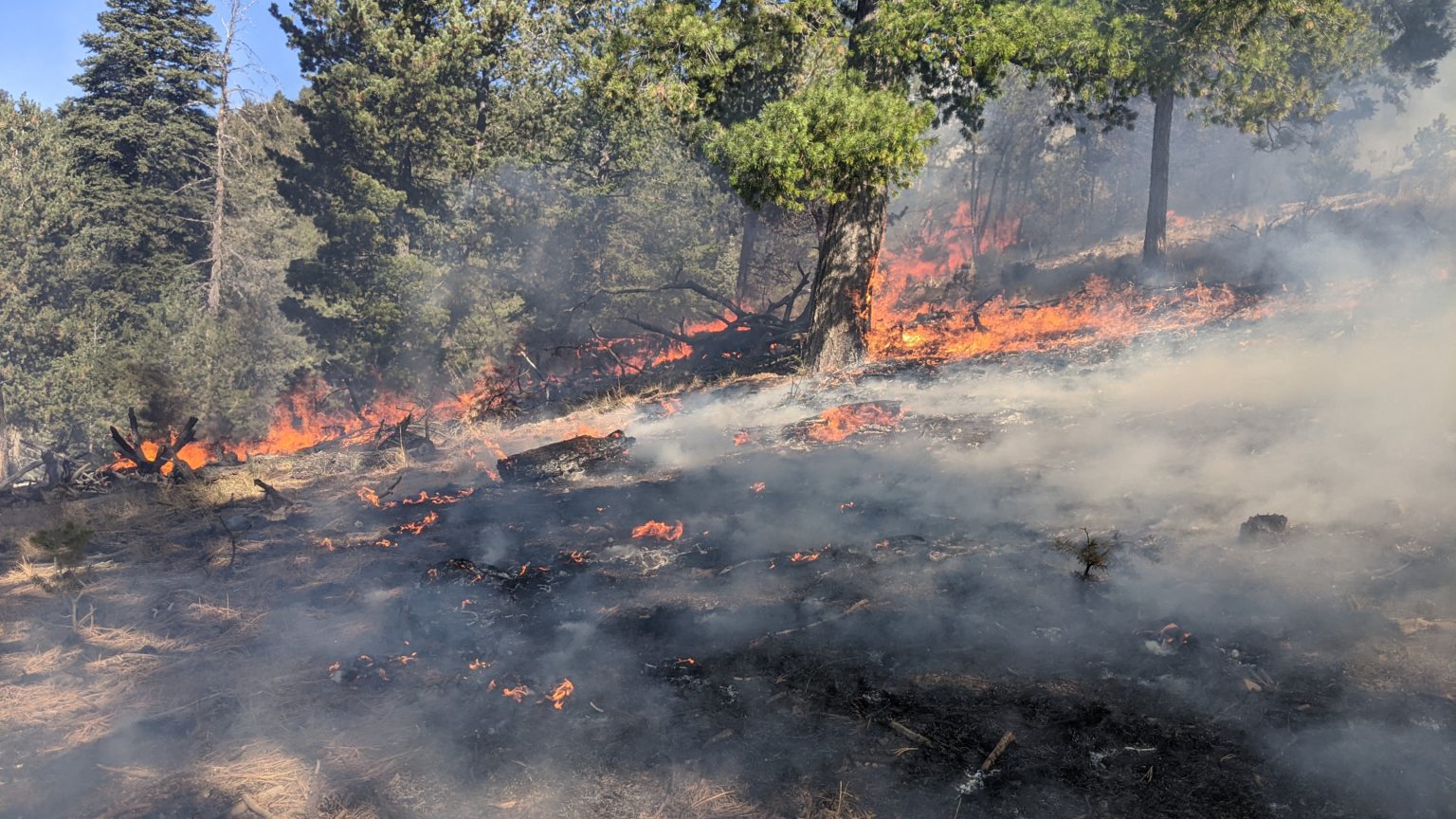 Reflections on the Greater Santa Fe Watershed South Aztec Prescribed ...