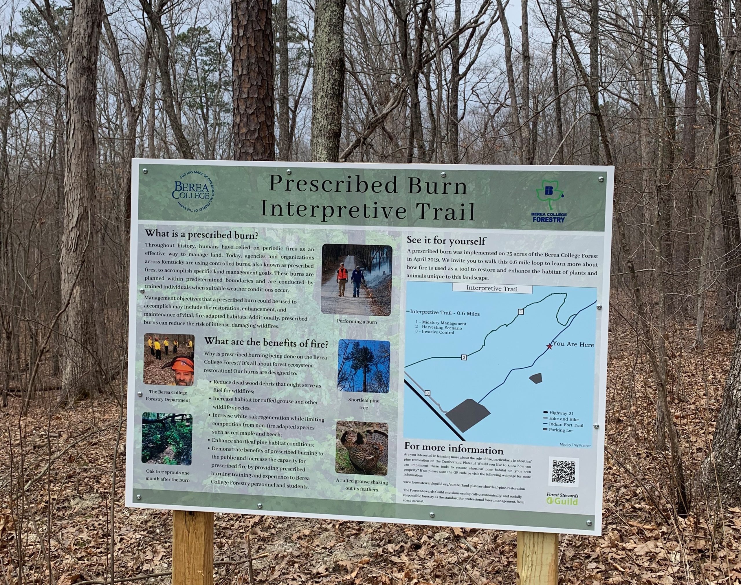 Shortleaf Pine Restoration on the Cumberland Plateau - Forest Stewards ...