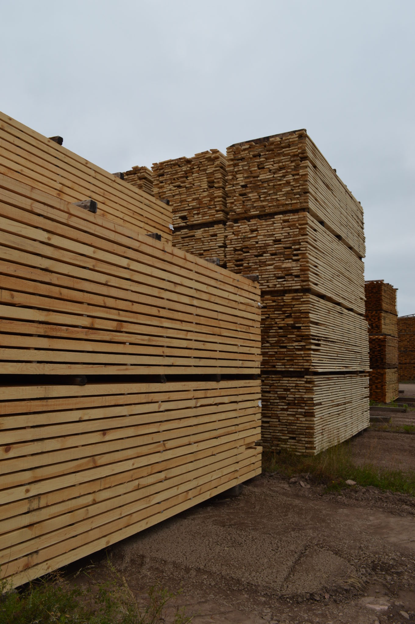 Advancing Hardwood Viability: The Role of Foresters in Wood Origin ...