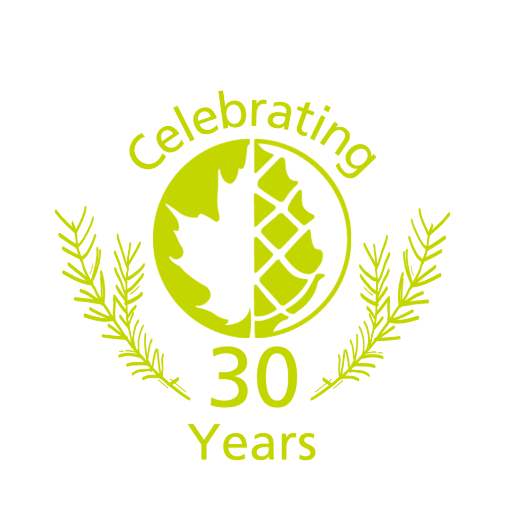 Walk the Woods: How Good Forest Management Helps Forests, Birds, and ...