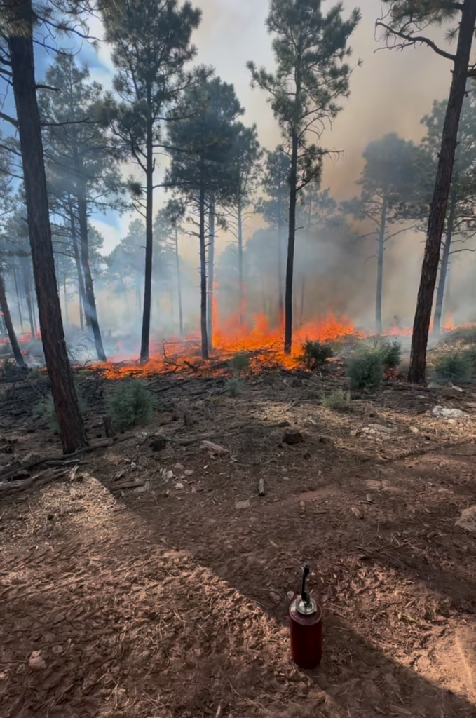 Reflections from the Guild’s All Hands All Lands Winter Crew 2024-2025 ...