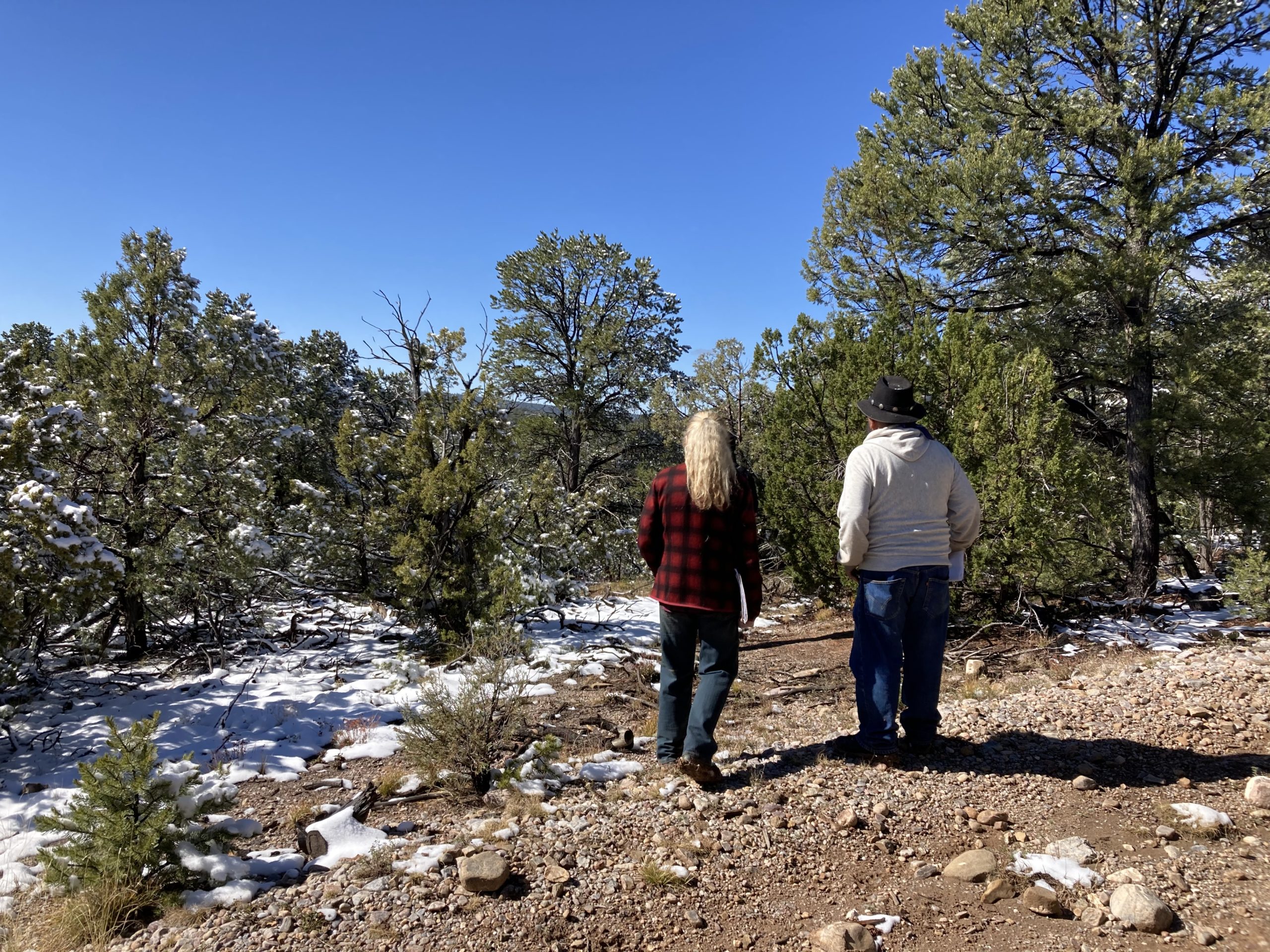 Pathways to Resilient Forests - Forest Stewards Guild